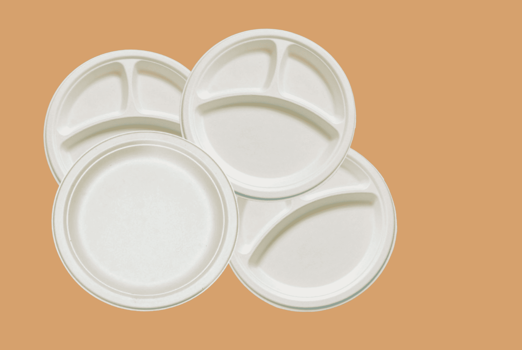Biodegradable Tableware Manufacturer & Exporter | Ever Bio Green